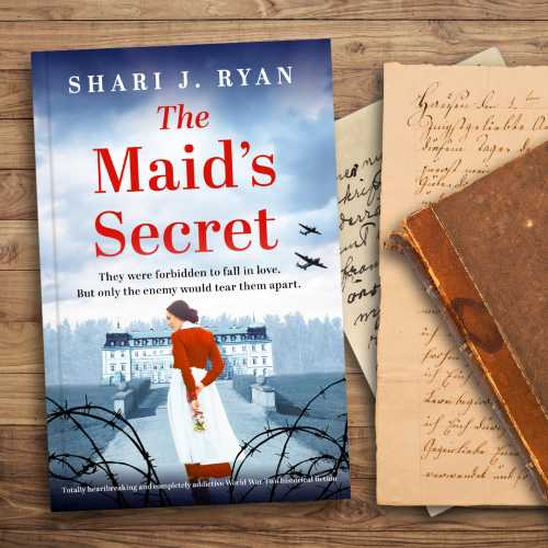The Maid's Secret - Corinne Rodrigues